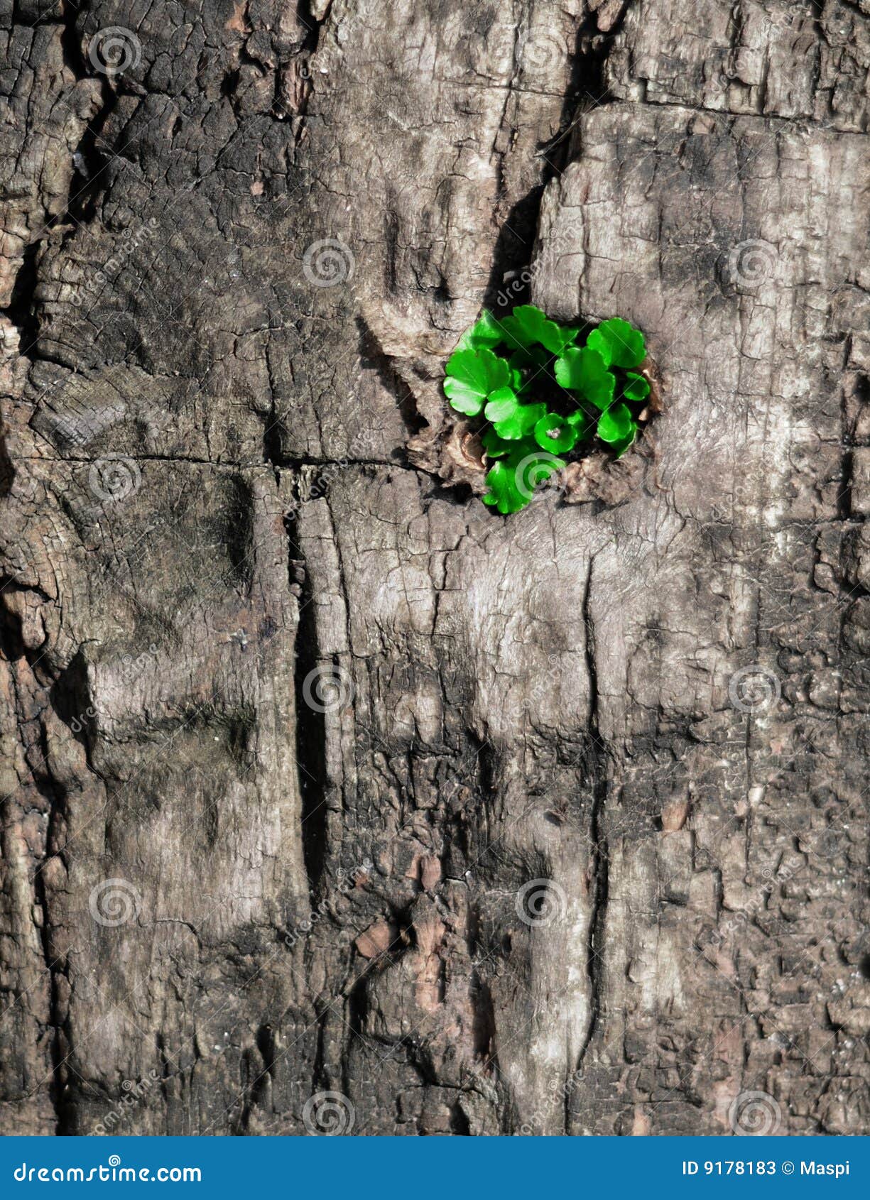 Hope stock image. Image of arid, abstract, hope, design - 9178183