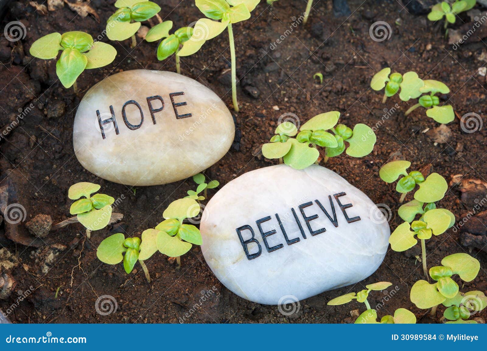 Hope and Belief in Growth stock photo. Image of horizontal - 30989584