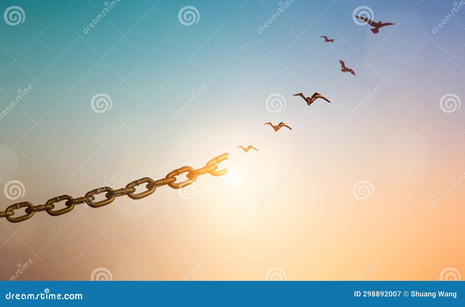 Silhouettes of Broken Chain and Birds Flying in Sky Stock Image - Image ...