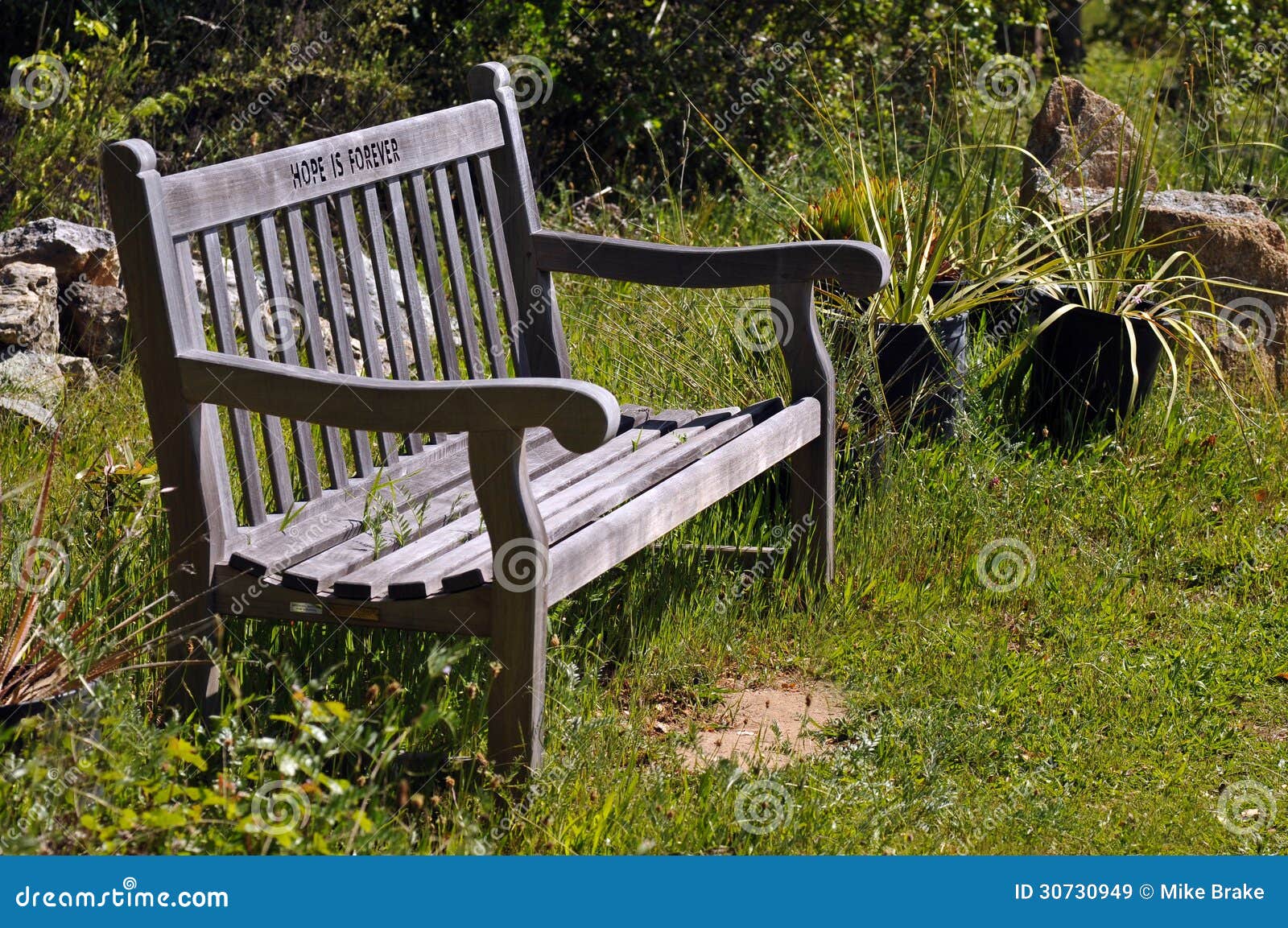 Hope is Forever Outdoor Bench Stock Image - Image of bush, palm: 30730949