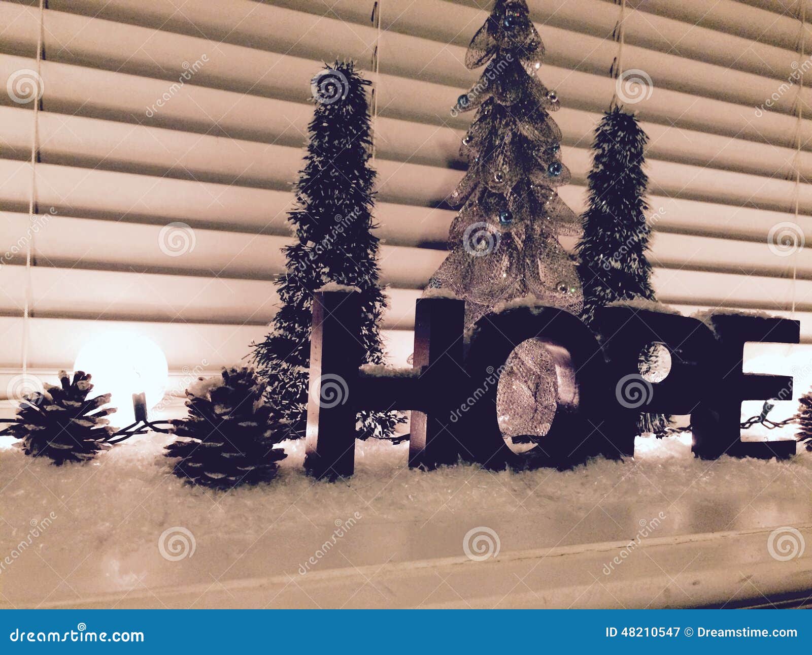 Hope stock image. Image of home, hope, trees, snow, decor - 48210547