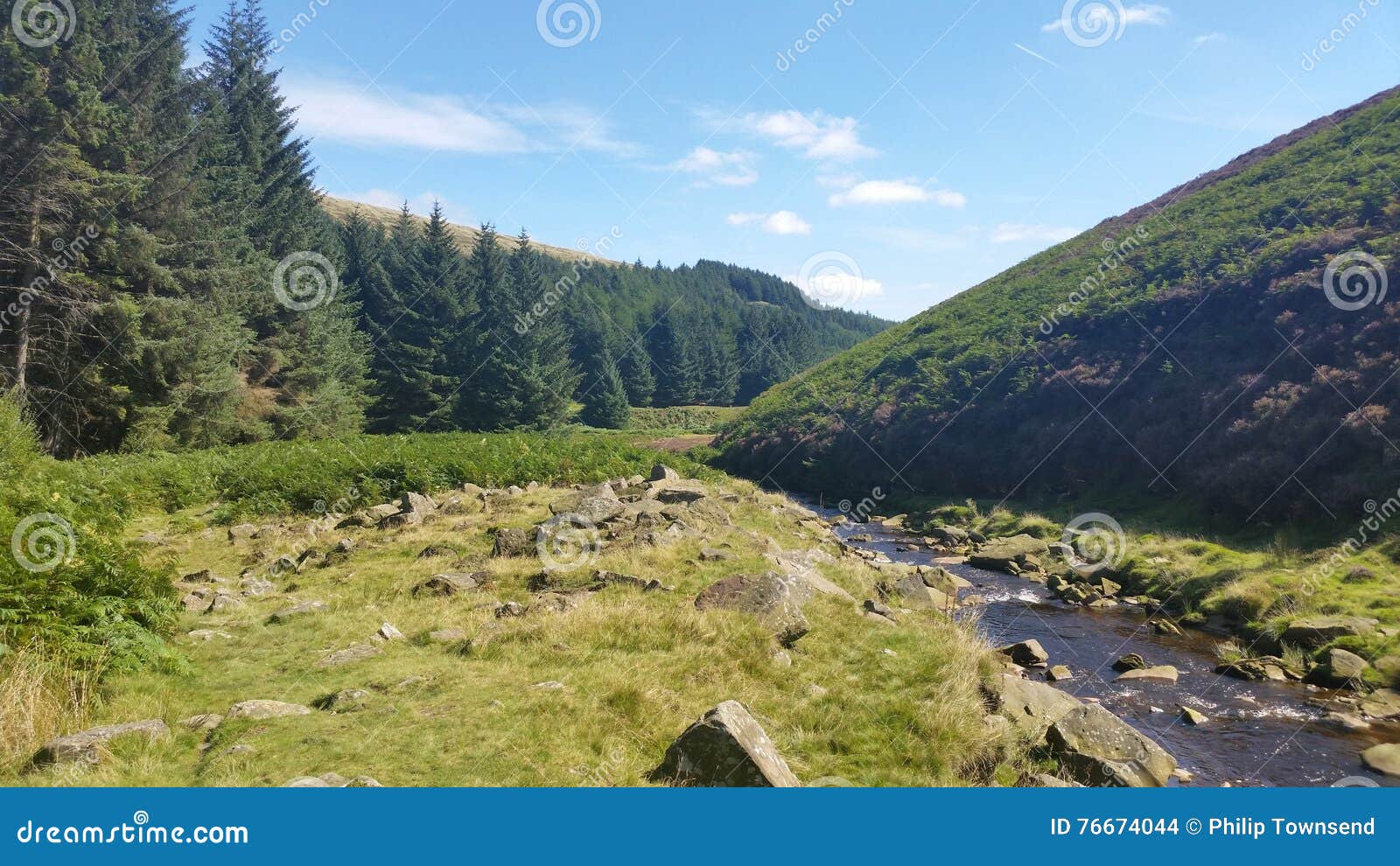 Hope Woodlands Scenery stock photo. Image of valley, district - 76674044