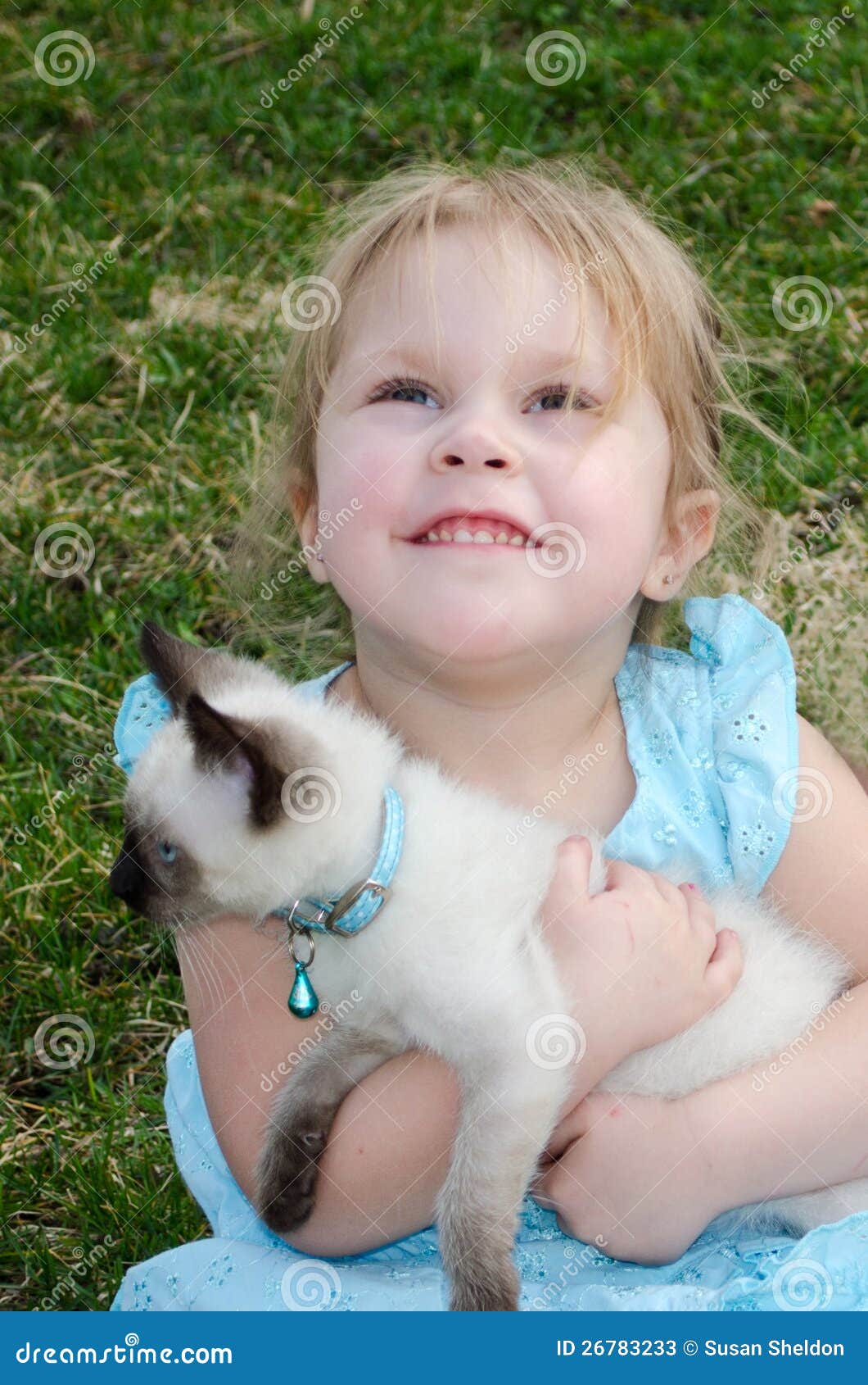 Hopeful child with kitten stock image. Image of expressive - 26783233