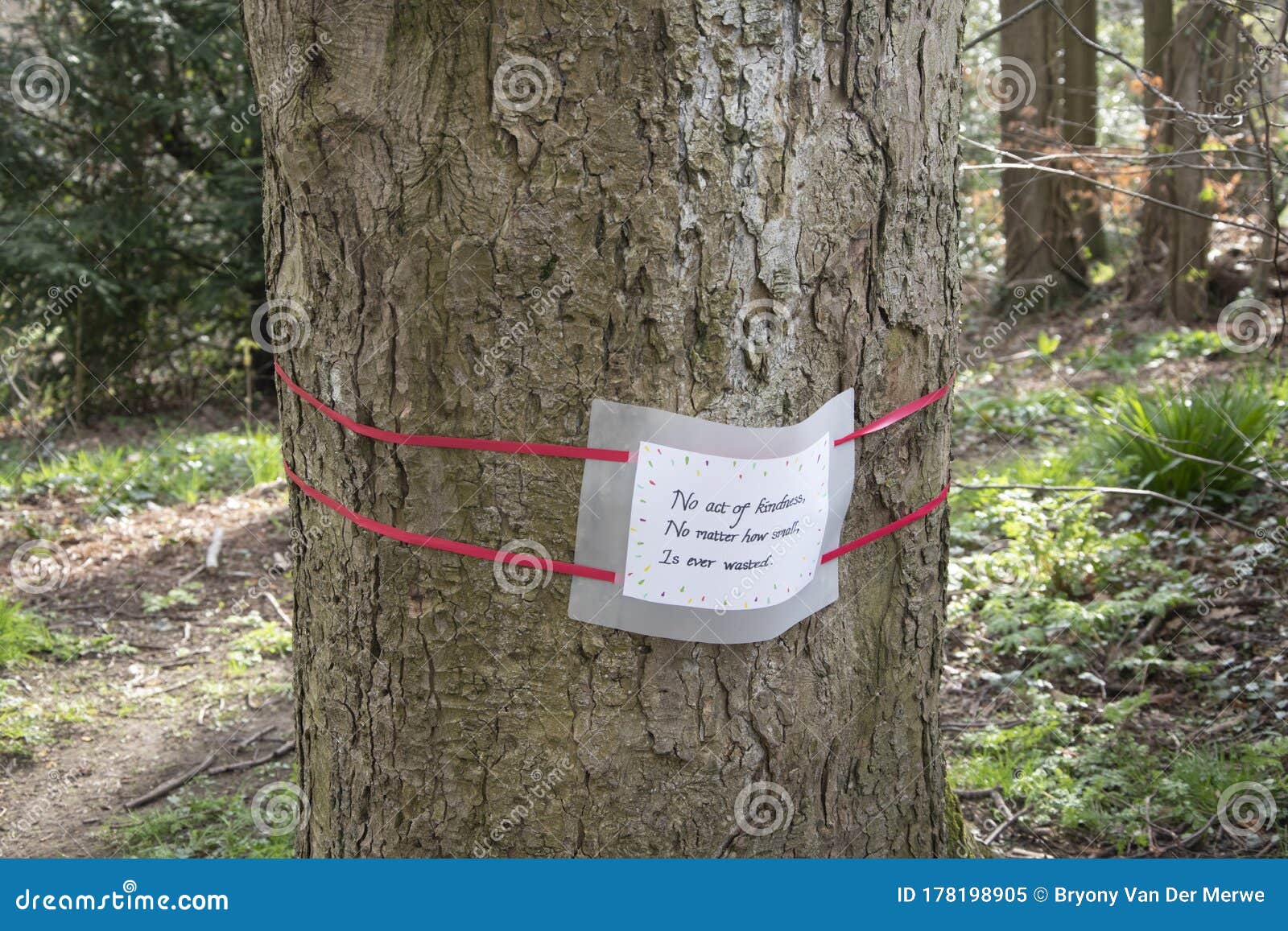 Hopeful Message on Tree about Kindness in Time of Coronavirus Stock ...
