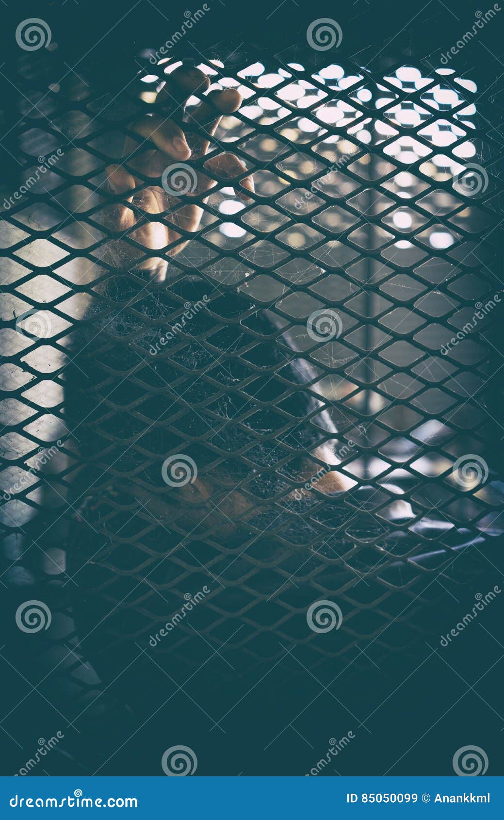 Rib Cage Of Human Skeleton Royalty-Free Stock Photo | CartoonDealer.com ...