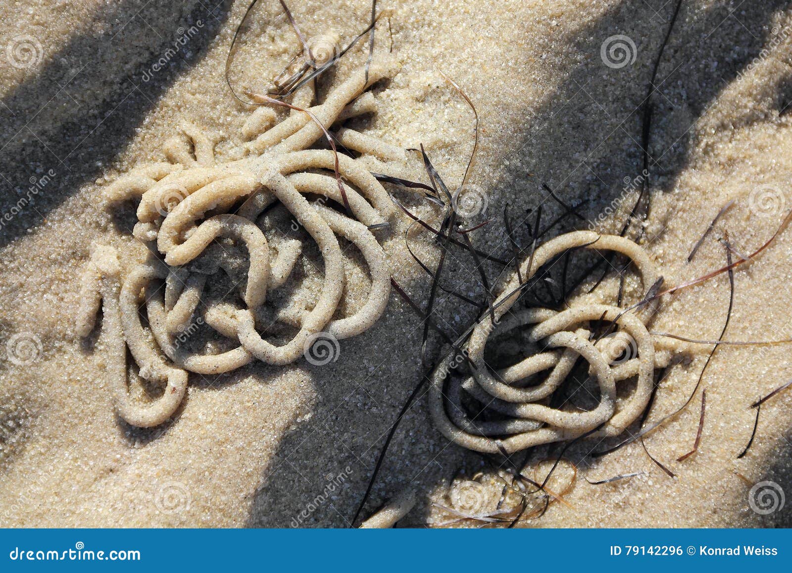 Hopen Van Zeepier in De Getijdevlakten at Low Tide Stock Foto - Image ...