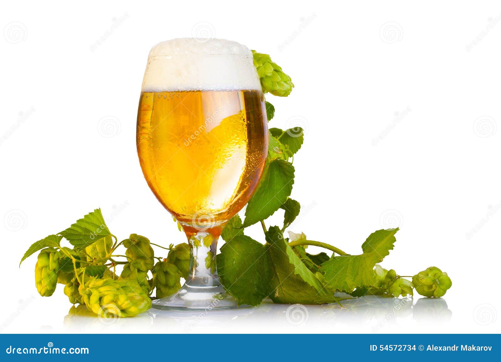 Hopfen mit Bier stockfoto. Bild von gerste, stab, bier - 54572734