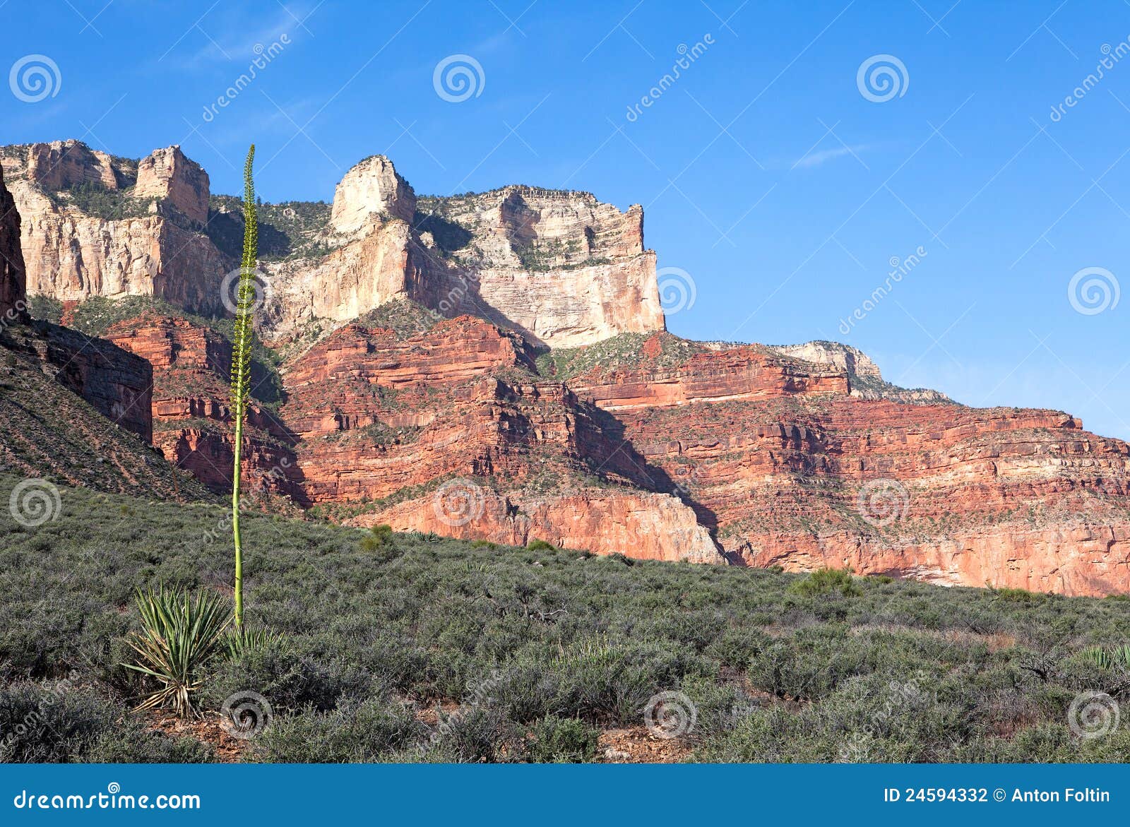 Hopi Point stock photo. Image of hopi, geology, formation - 24594332