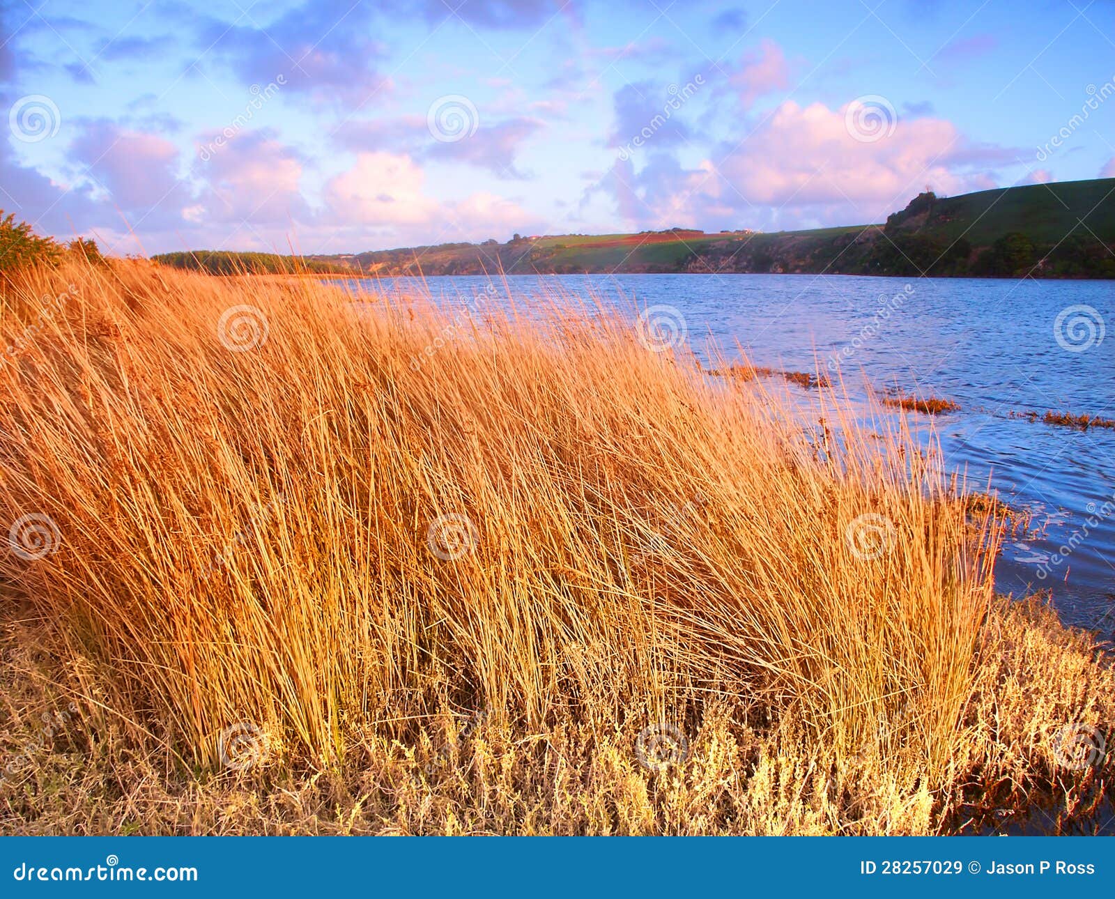 Hopkins River Warrnambool Australia Stock Image - Image of illuminate ...