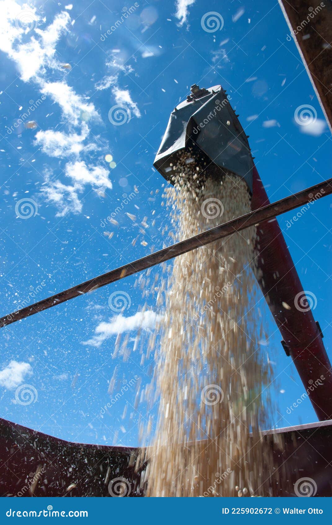 Hopper Unloading Corn Grains Harvested by the Harvester Stock Photo ...