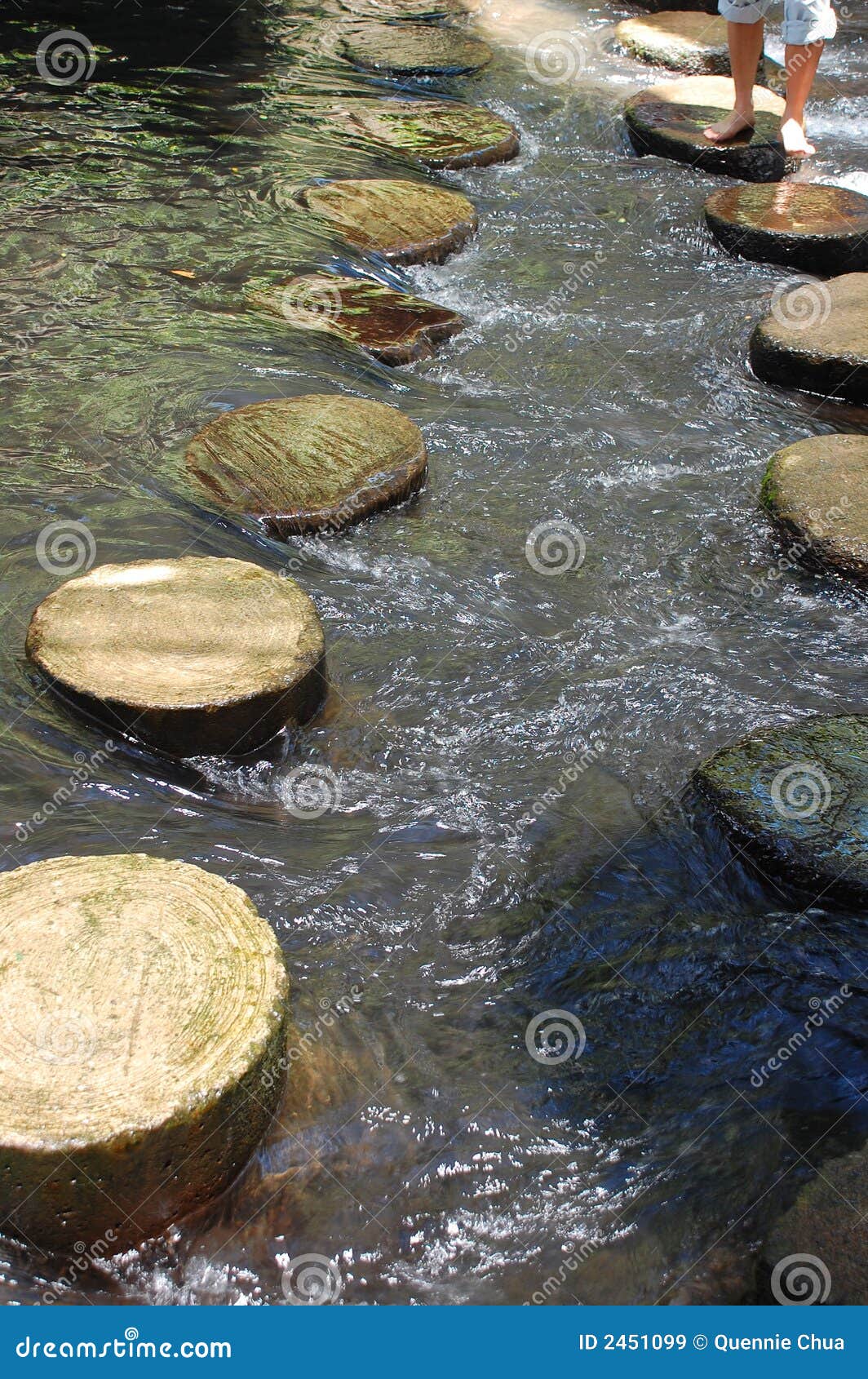 Hopping to get there stock image. Image of vacation, river - 2451099