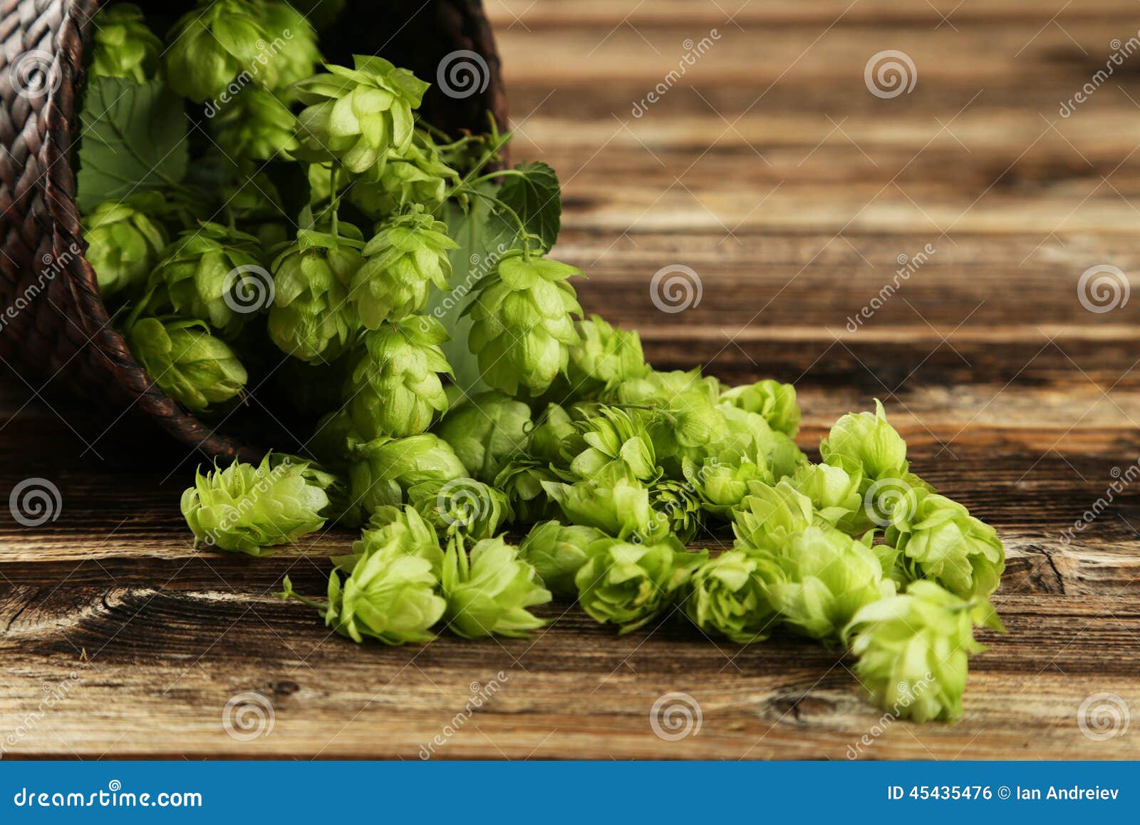 Hops in Basket on Brown Wooden Background. Stock Photo - Image of ...