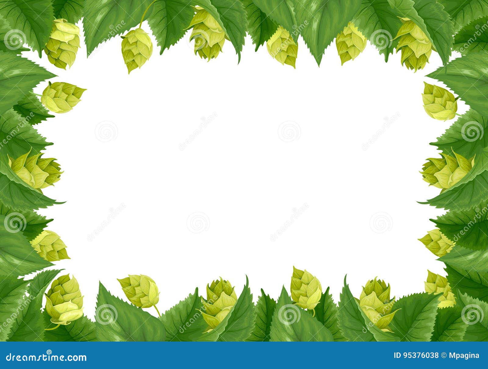 Hops Border Vector