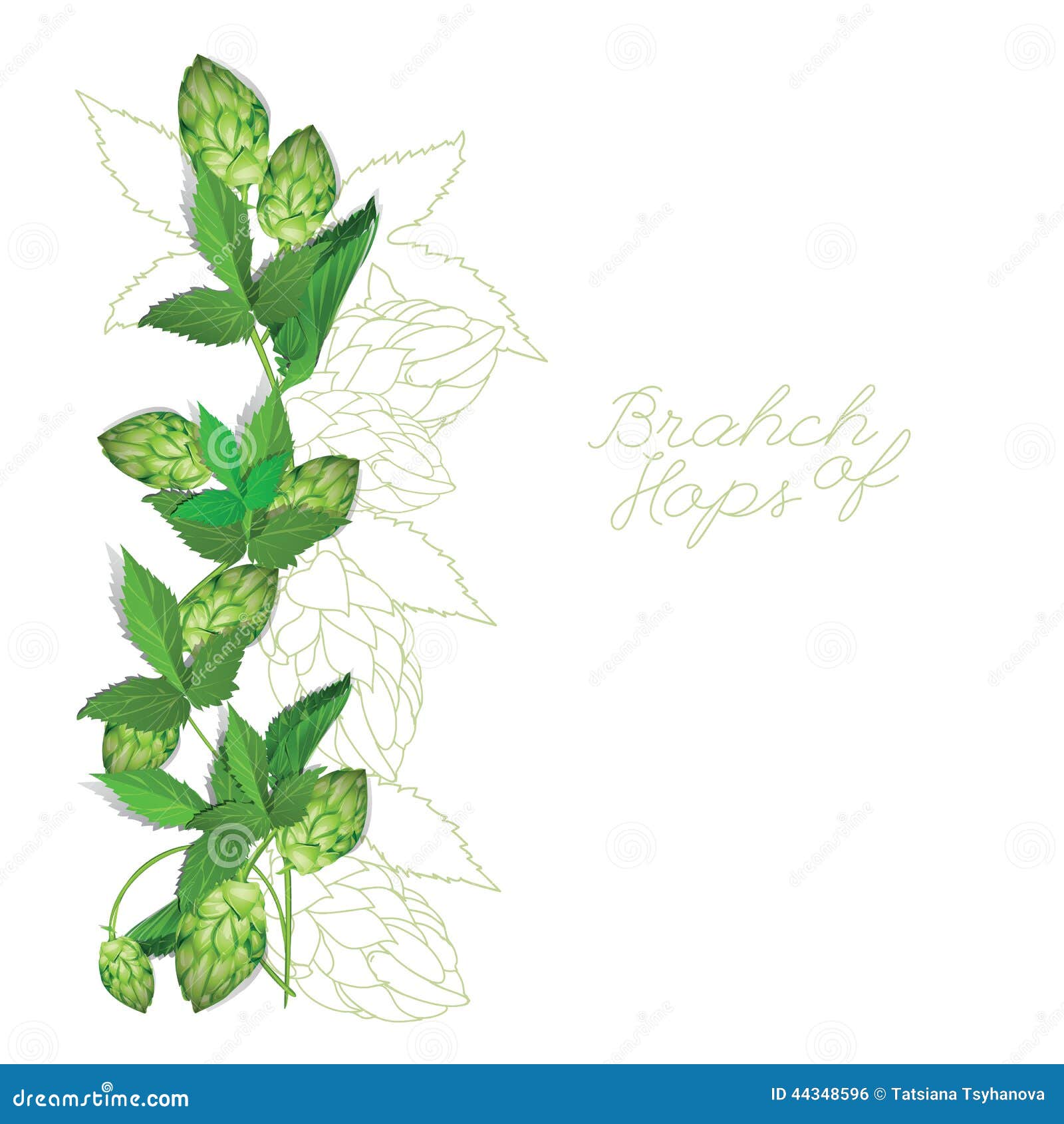 Hops Illustration Stock Illustrations – 8,619 Hops Illustration Stock ...