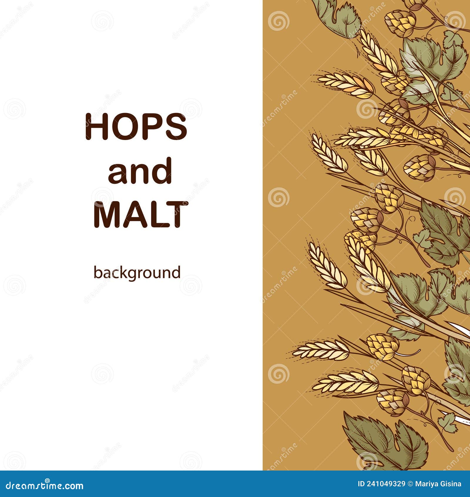 Hops and Malt Square Background or Poster Template for Beer Brewing ...