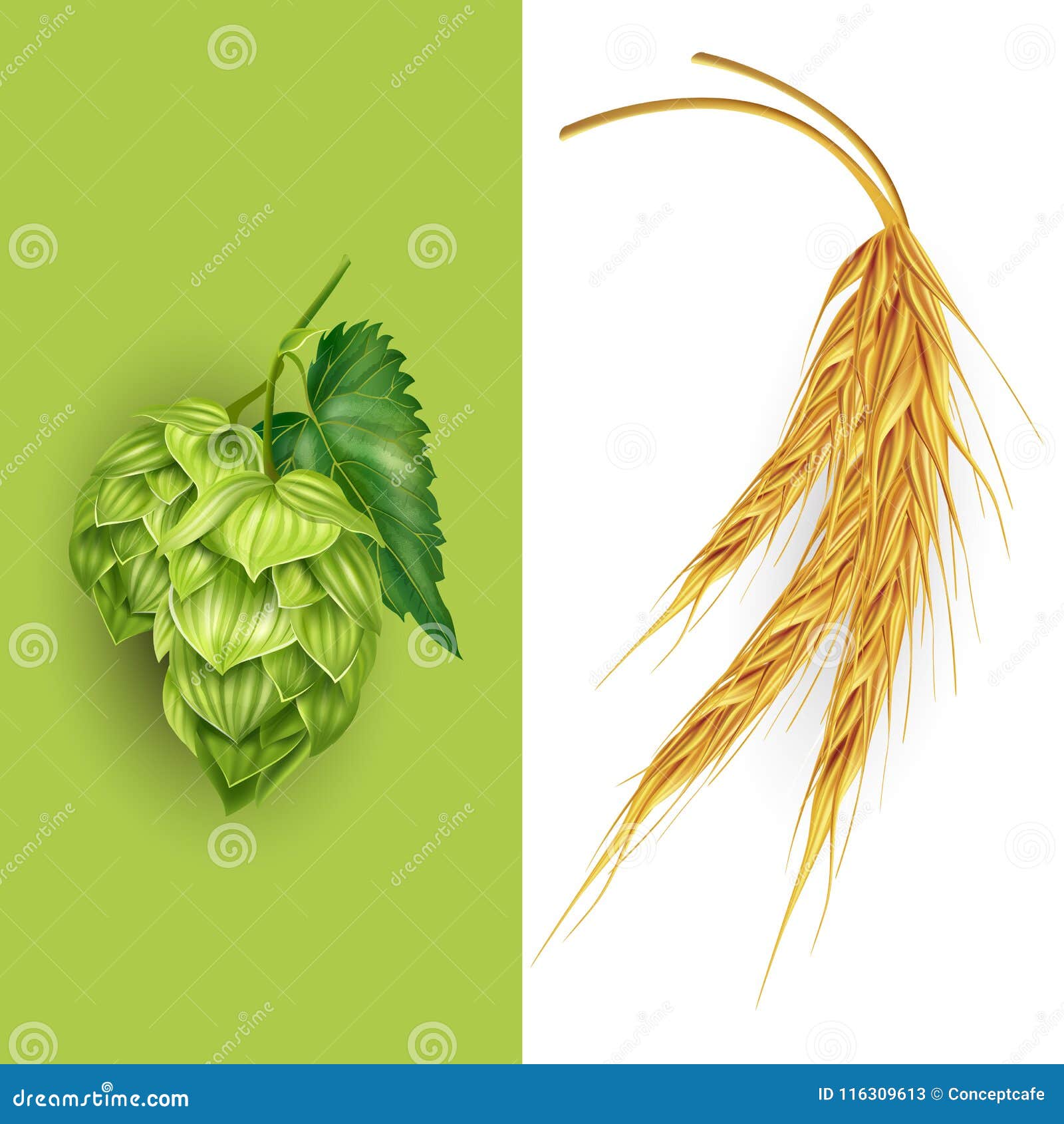 Malt Vector Stock Illustrations – 17,023 Malt Vector Stock ...