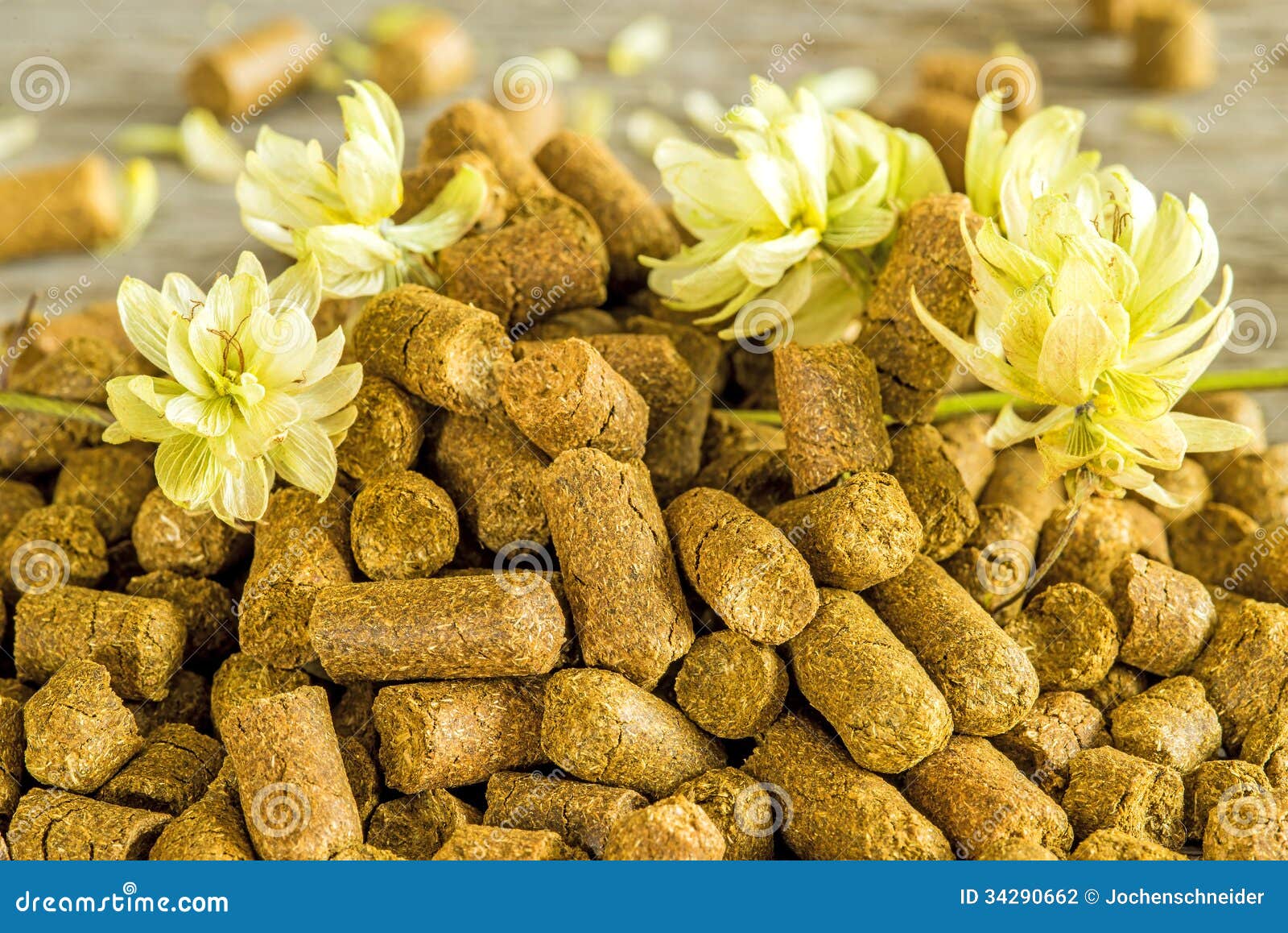 Hops pellets stock photo. Image of cure, compressed, drug - 34290662