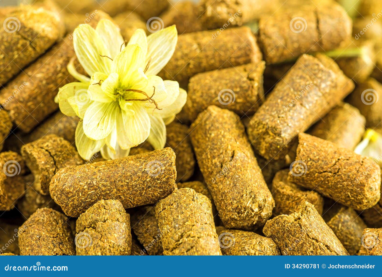 Hops pellets stock image. Image of hops, purity, compressed - 34290781