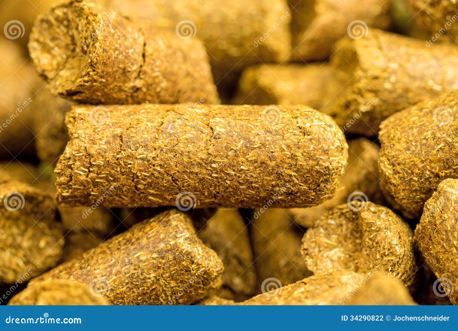 Hops pellets stock photo. Image of traditional, purity - 34290822