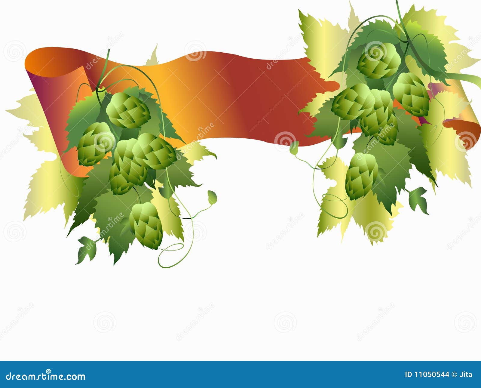 Hops plant and ribbon stock vector. Illustration of drawing - 11050544