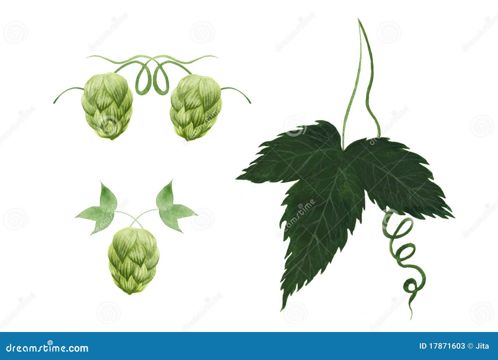 Bitterness And Life - Pictured As A Word Bitterness And A Wreck Ball To ...