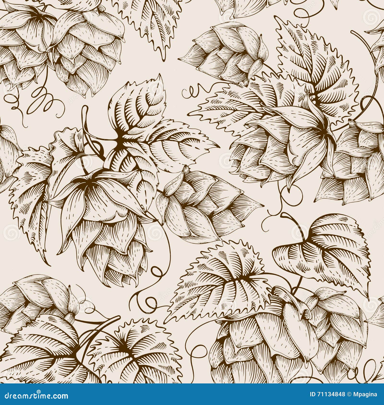 Hops seamless pattern stock vector. Illustration of etching - 71134848