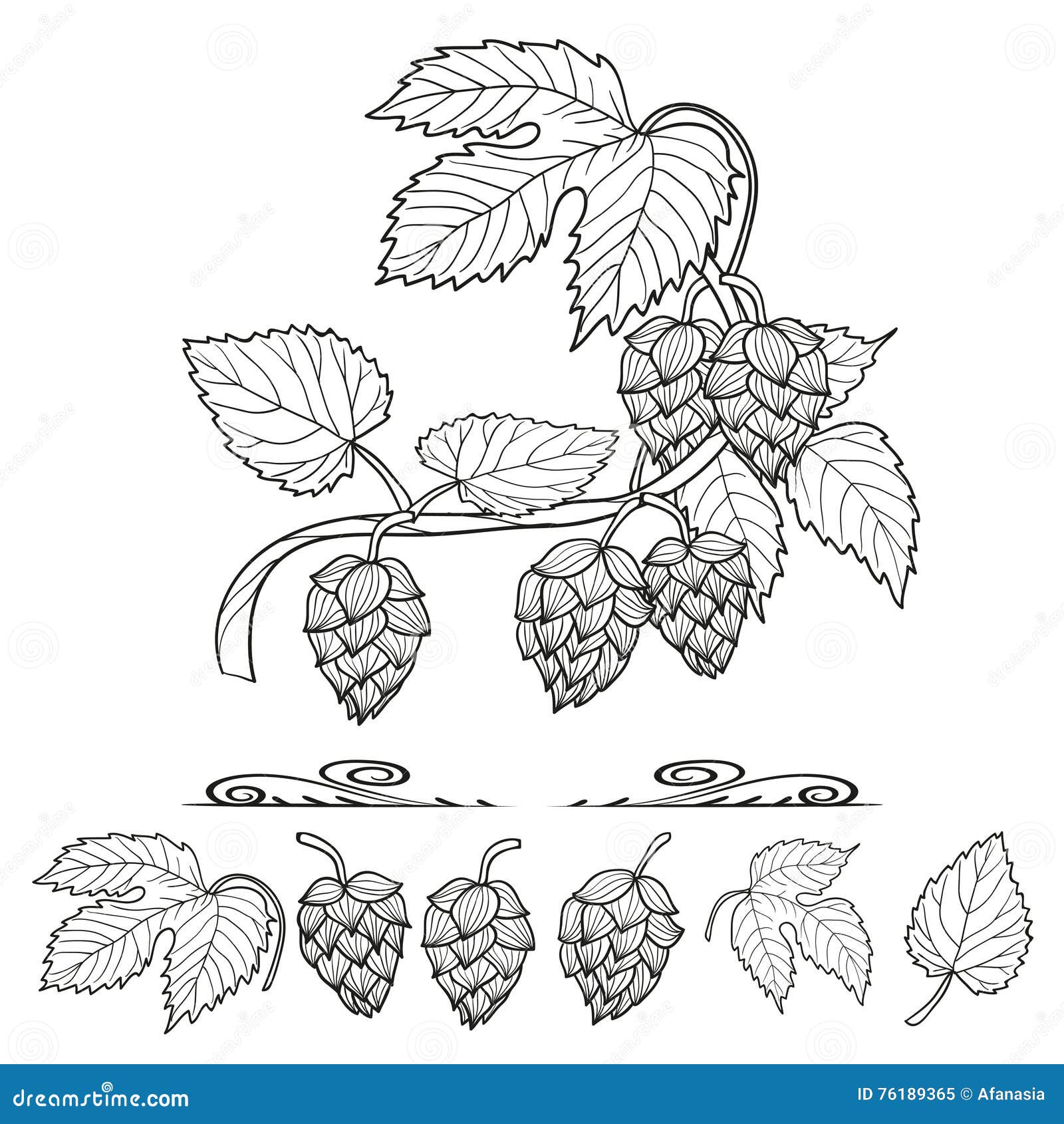 Hops Set. Collection of Hop Decorative Elements Stock Vector ...