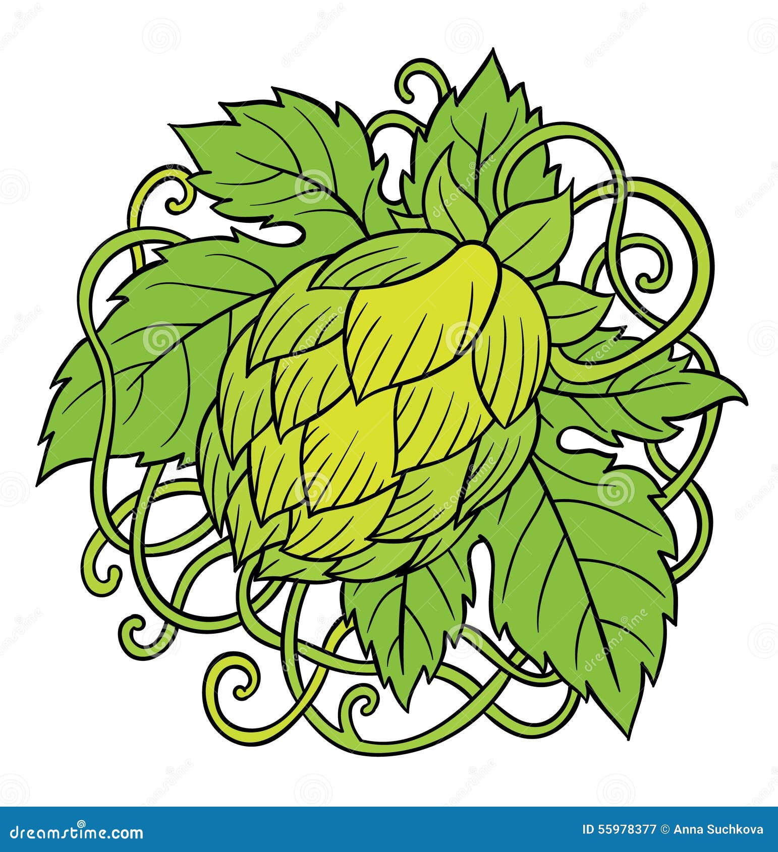 Hops vector stock vector. Illustration of line, green - 55978377