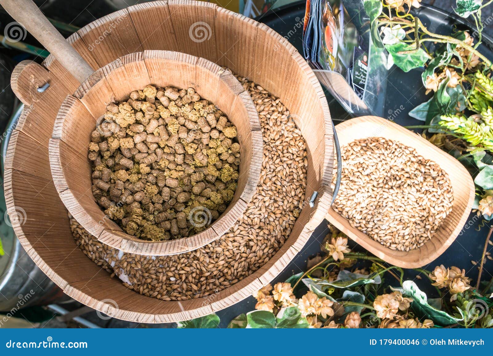 Hops and Wheat. Cooking As a Hobby Stock Photo - Image of alternative ...