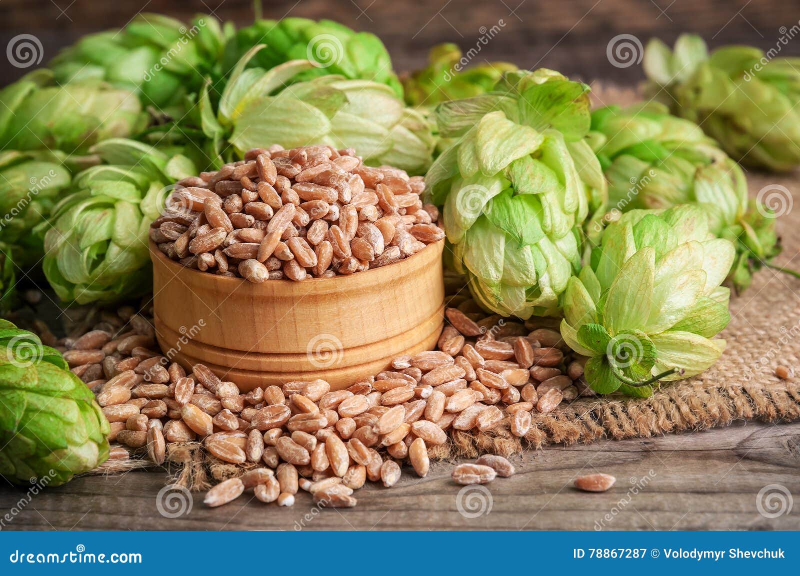 Hops and wheat stock image. Image of board, brewery, alcohol - 78867287