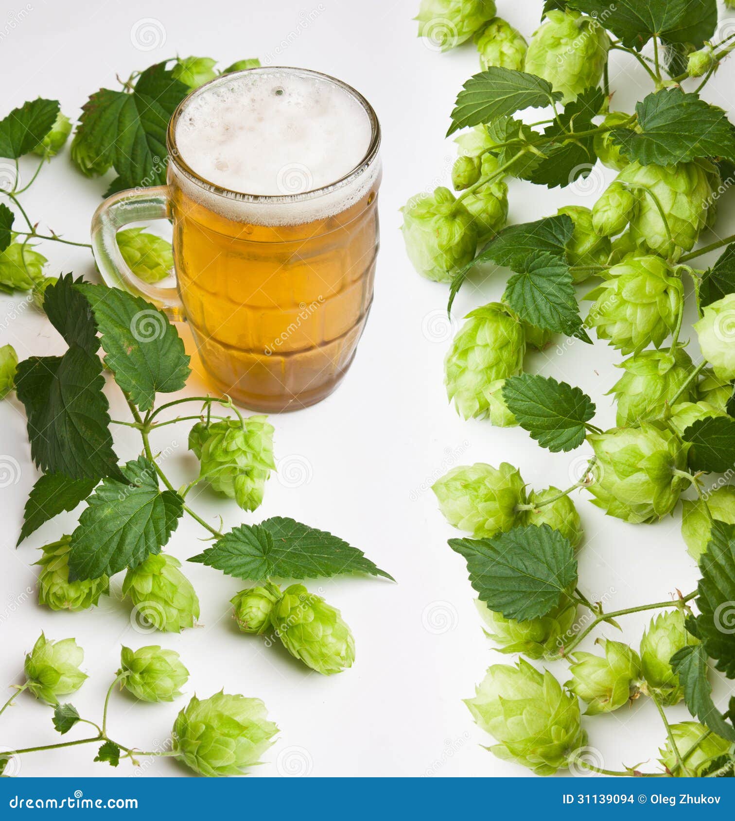 Hops stock photo. Image of beer, hops, green, growth - 31139094