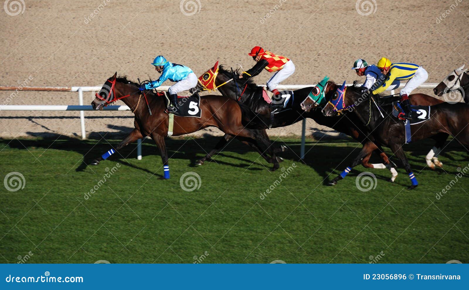 Horce Racing editorial photo. Image of race, animal, helmet - 23056896