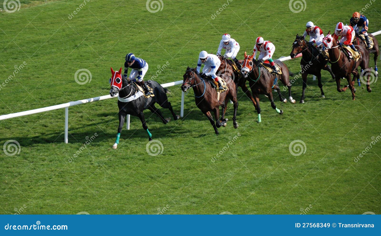 Horce Racing editorial stock image. Image of jockey, hippodrome - 27568349