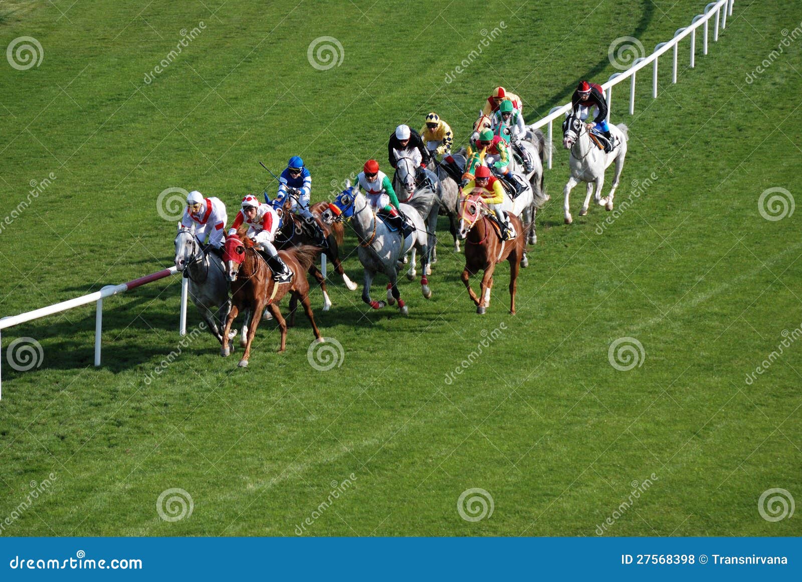Horce Racing editorial stock photo. Image of purebred - 27568398