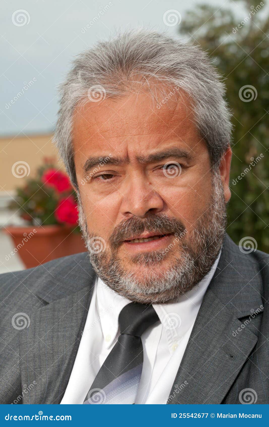 Horia Manda editorial photography. Image of romanian - 25542677