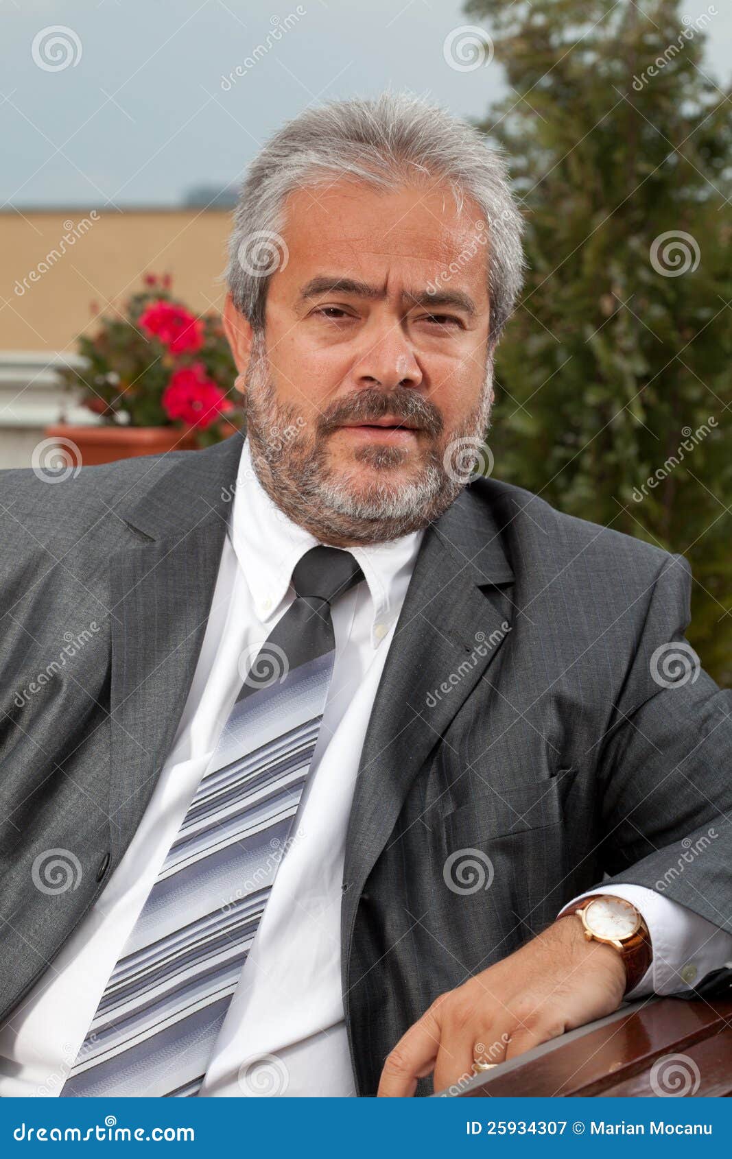 Horia Manda editorial photography. Image of businessman - 25934307