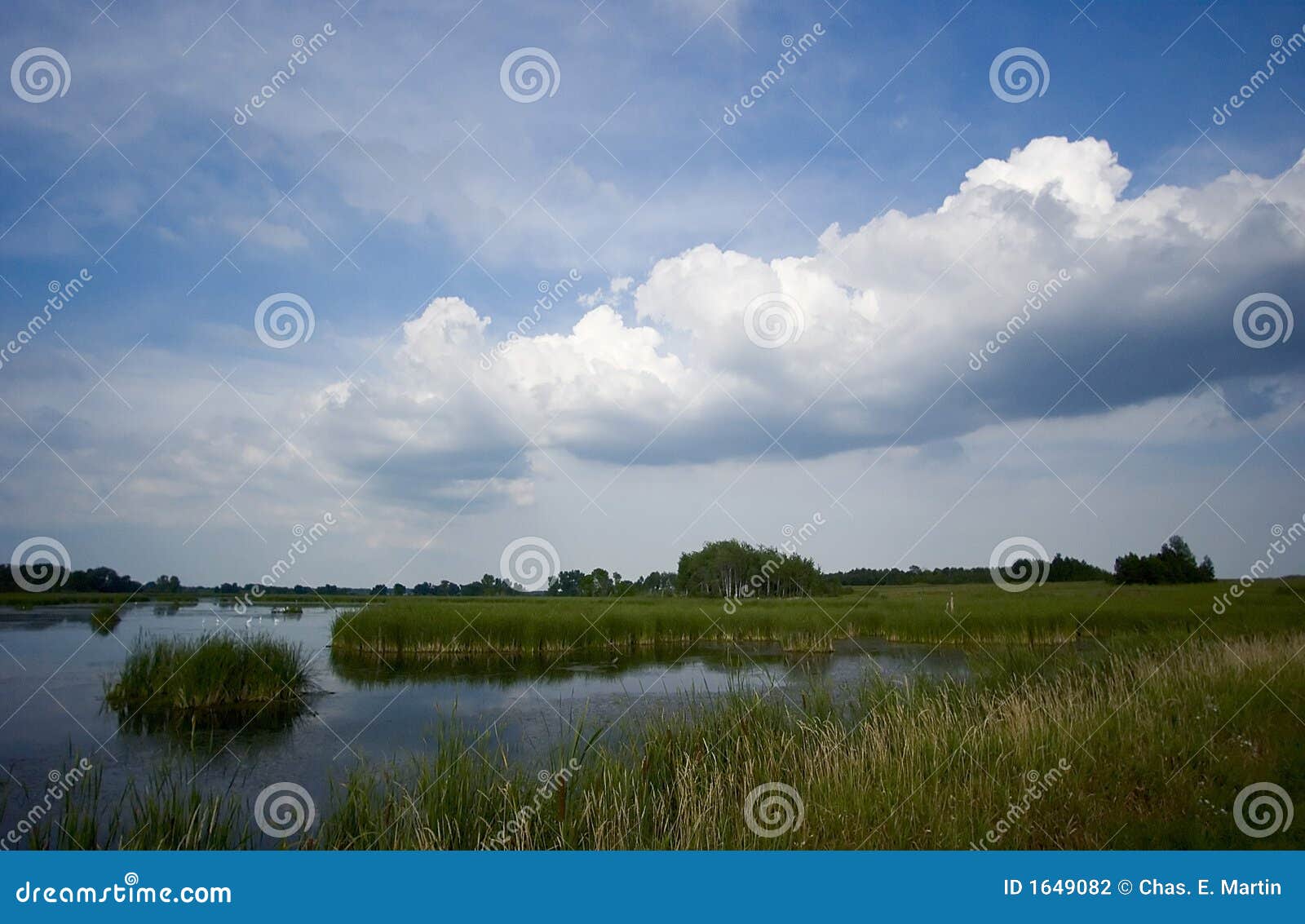 Horicon Marsh, Wisconsin stock photo. Image of wisconsin - 1649082