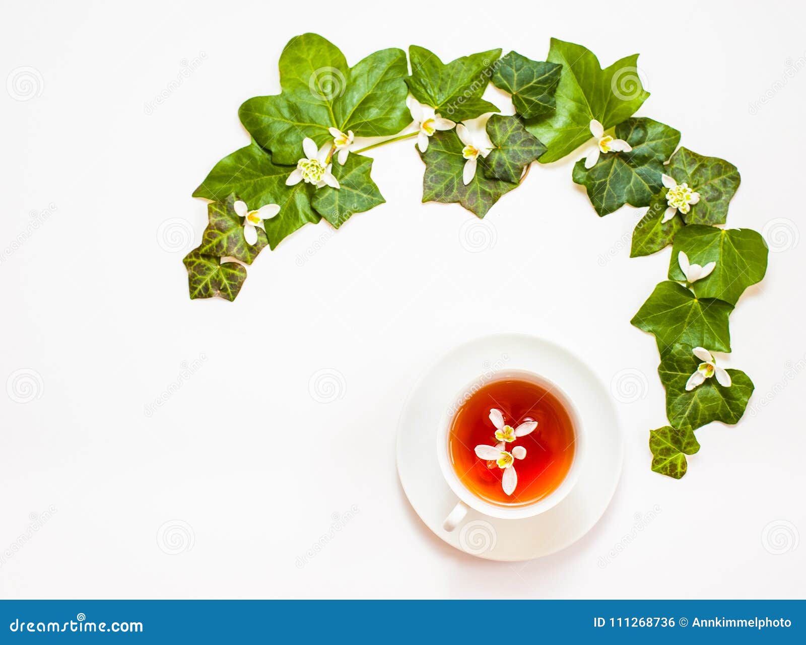 Horisontal Flat-lay Pattern with Ivy Leaves and White Spring Flo Stock ...