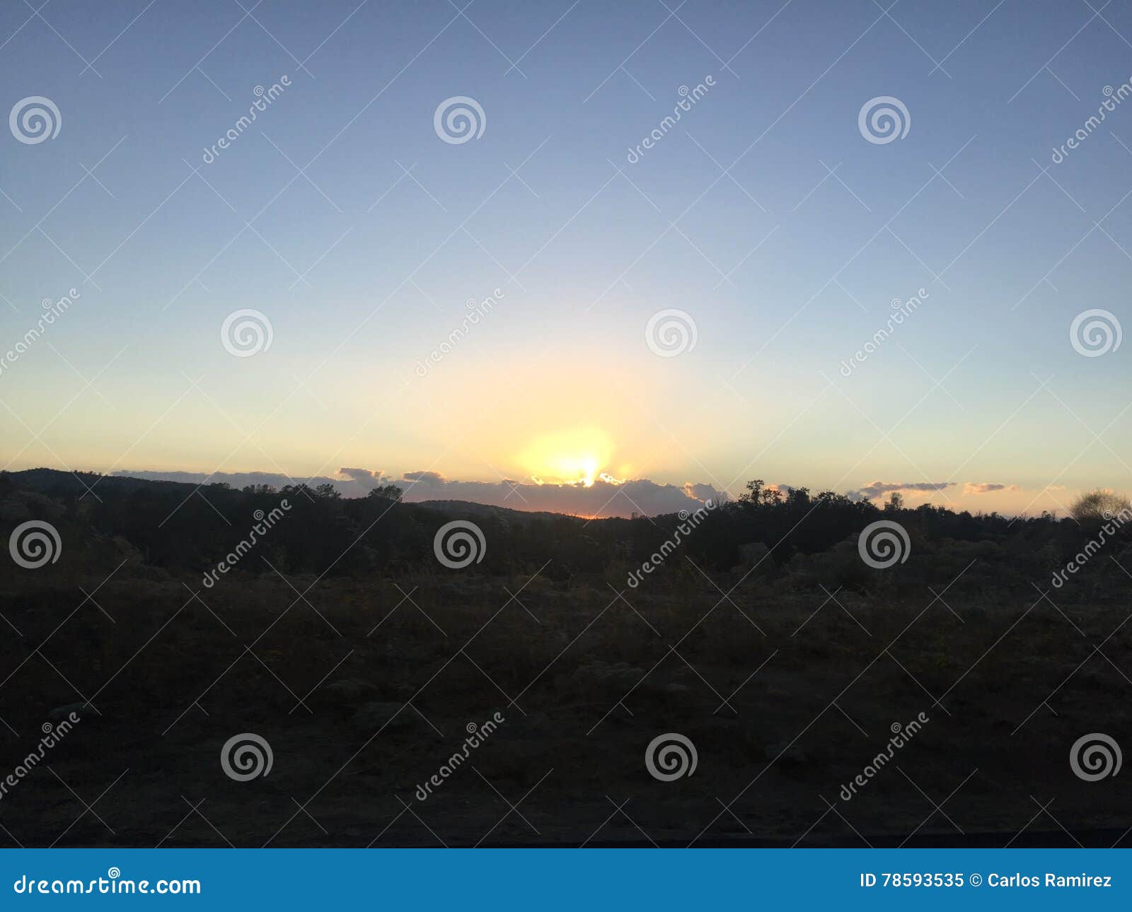 Horizon stock image. Image of scene, horizon, trees, beautiful - 78593535