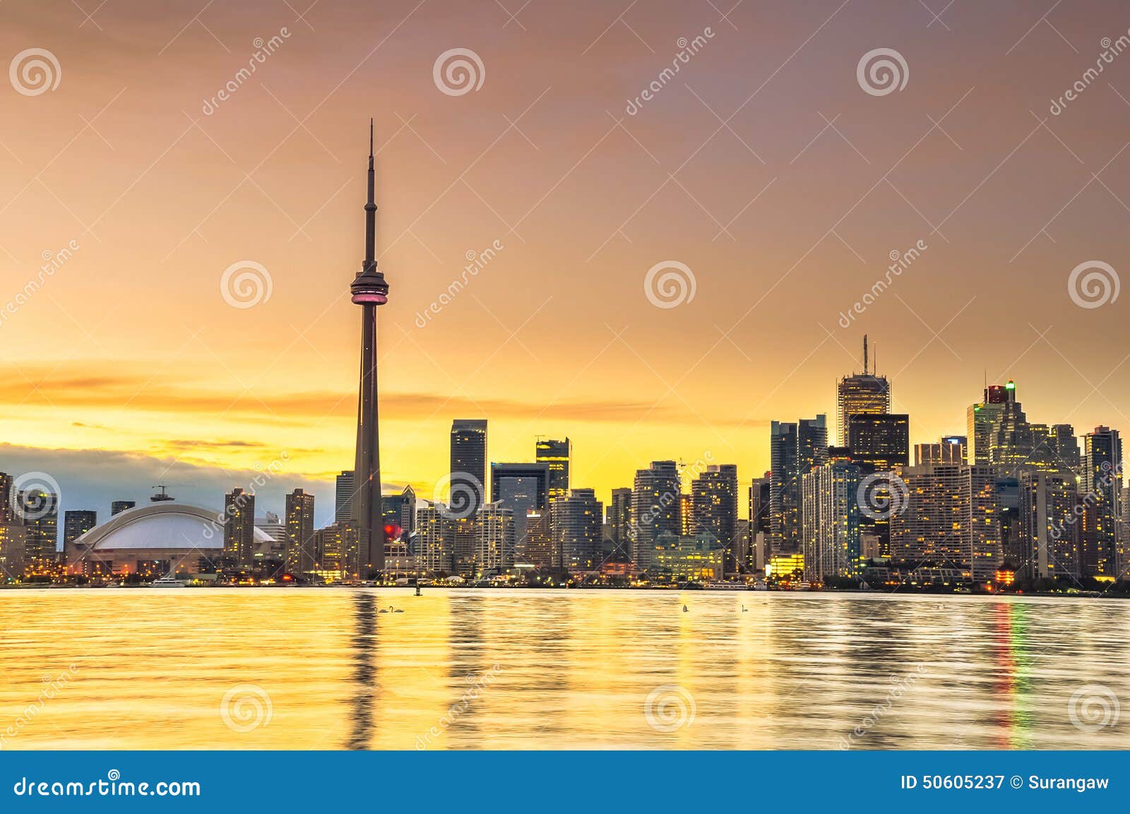 Horizon de Toronto image stock. Image du roger, jour - 50605237