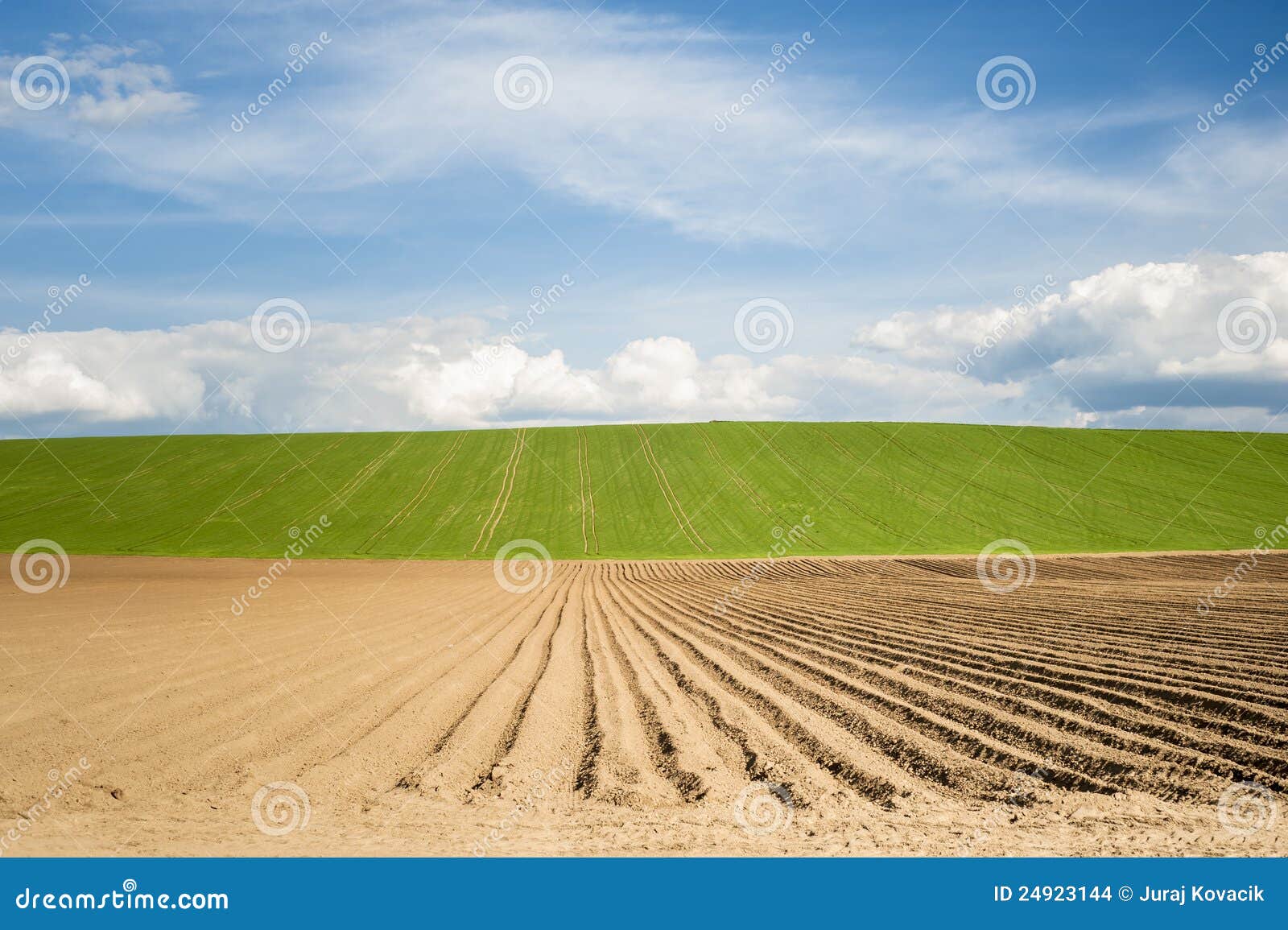 Horizon with fields stock photo. Image of horizon, brown - 24923144