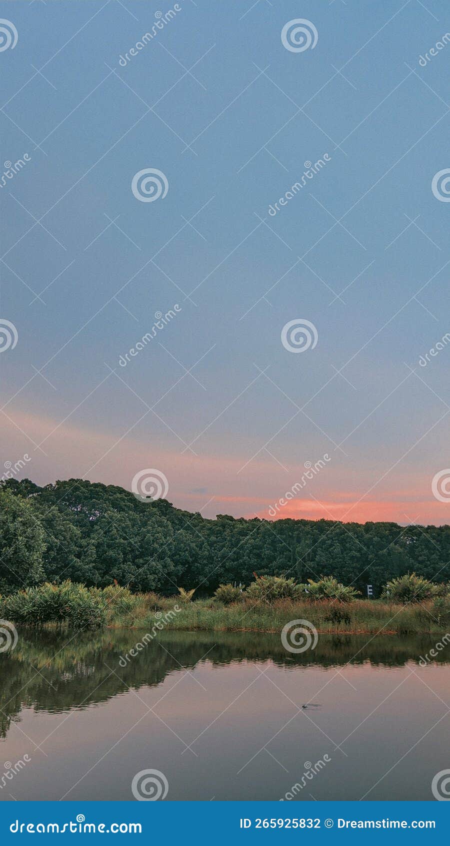 Horizon grassland stock photo. Image of field, plain - 265925832