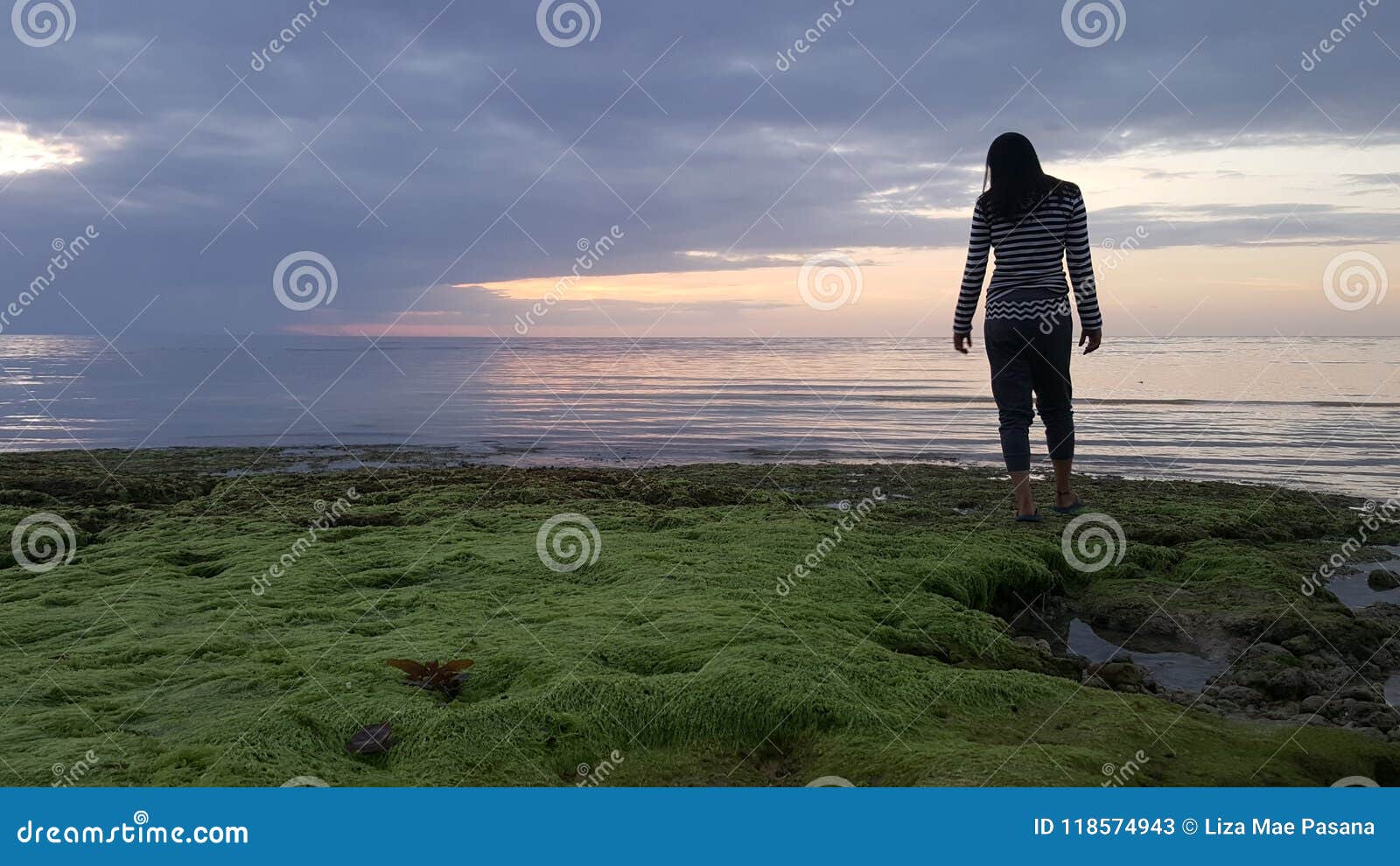 The Horizon editorial stock photo. Image of seabed, scene - 118574943