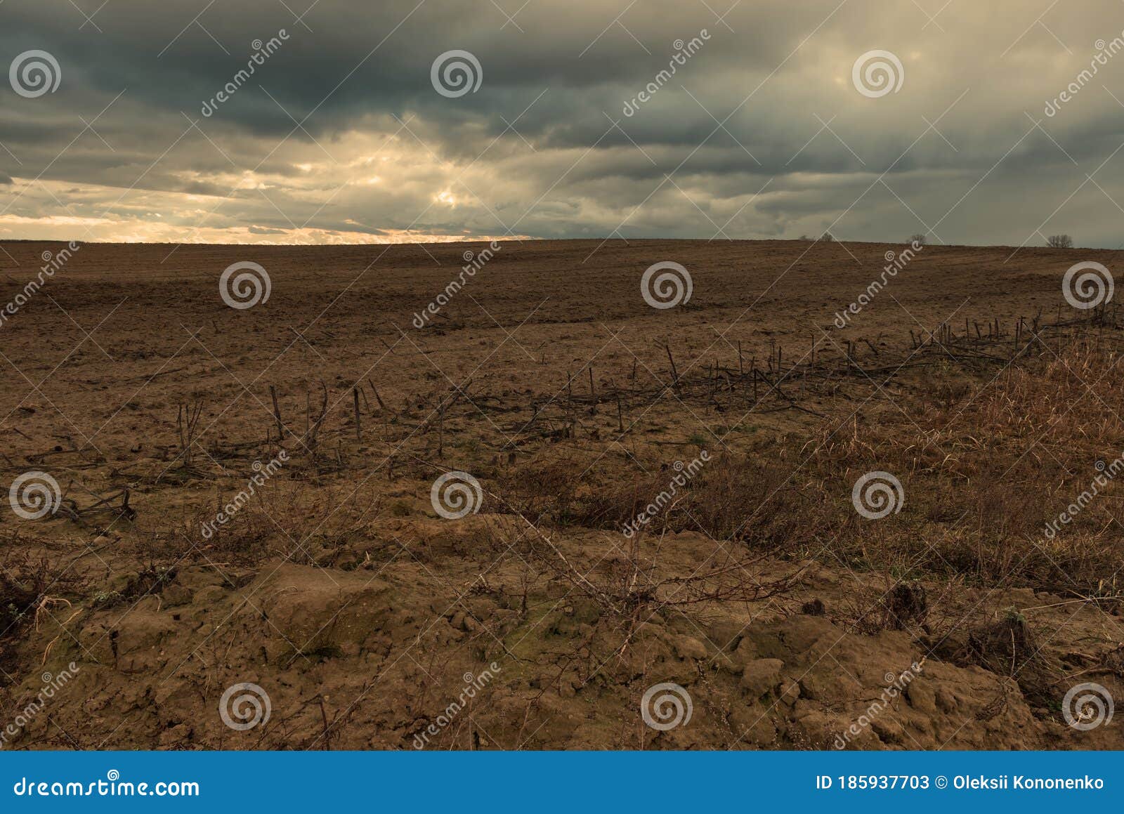 Horizon Over Agricultural Fields in the Evening. Overcast Landscape ...