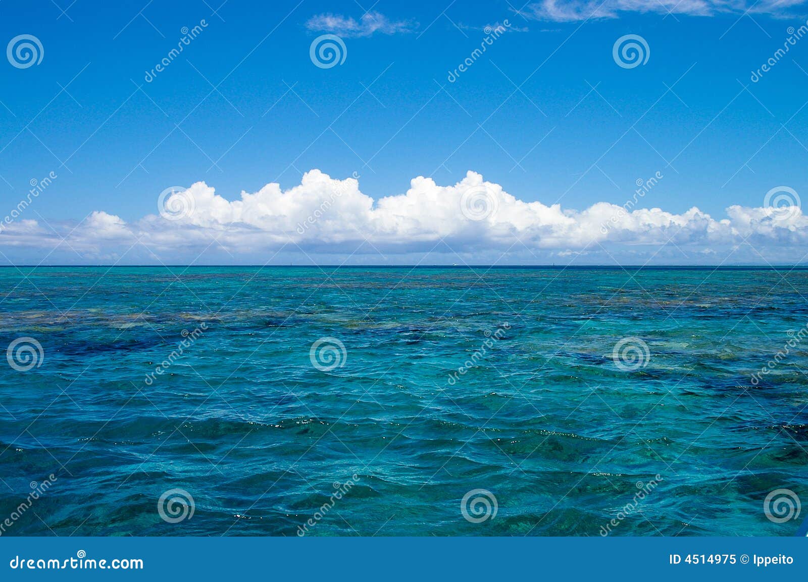 Horizon in the pacific stock image. Image of isolated - 4514975