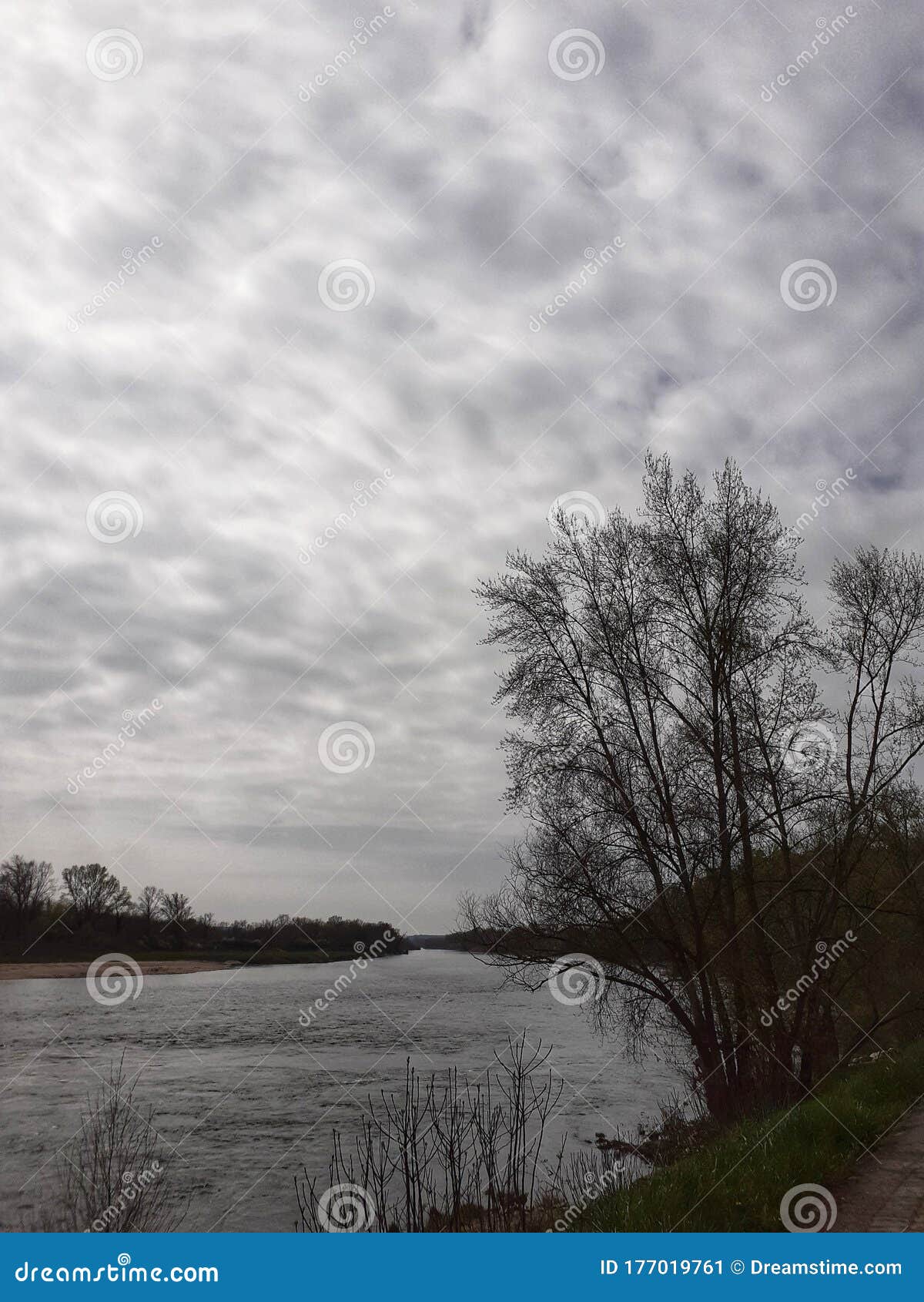 The horizon on a river. stock image. Image of calm, horizon - 177019761