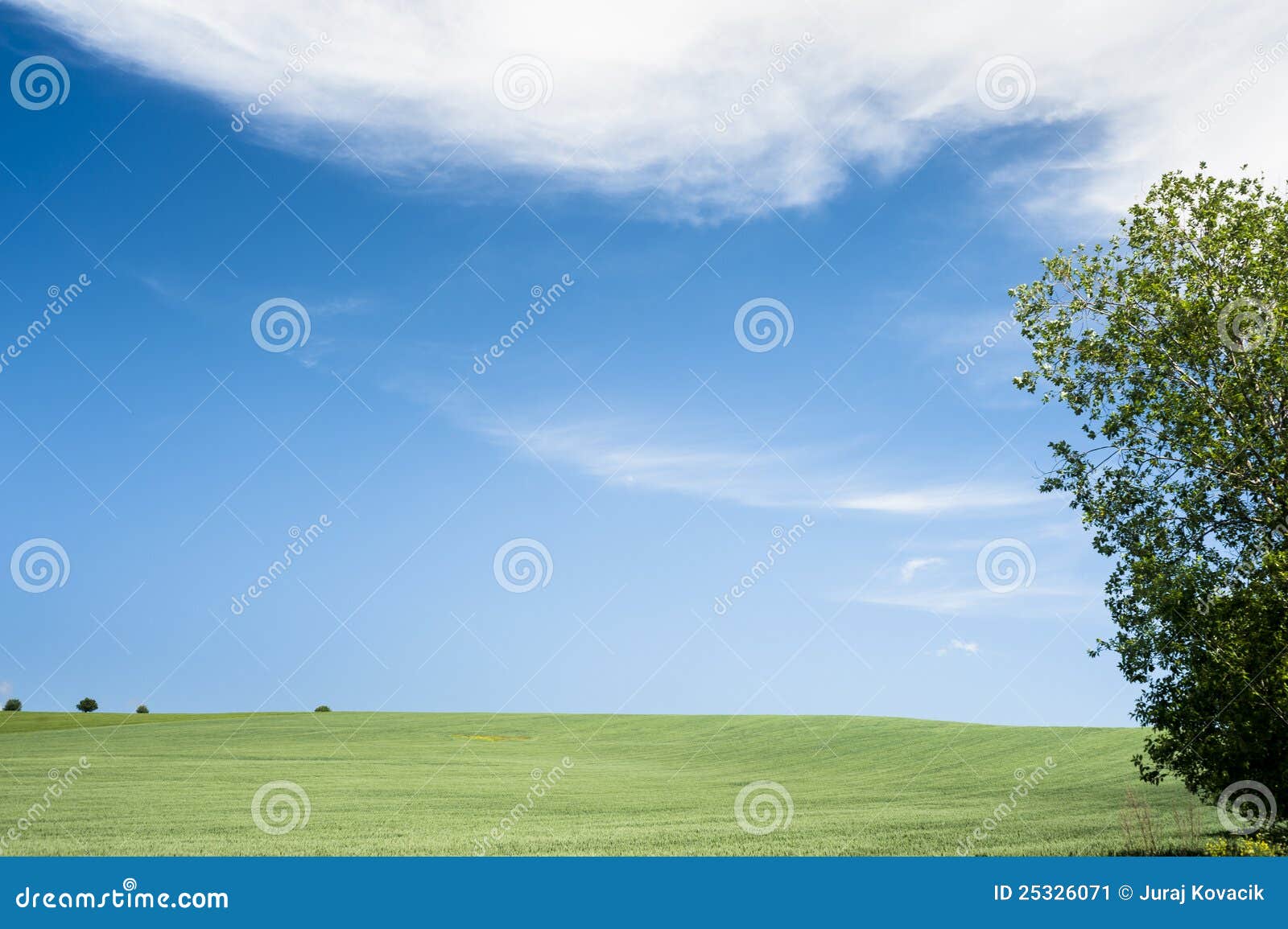 Horizon with Round Cloud and Tree Stock Image - Image of cloud, blue ...