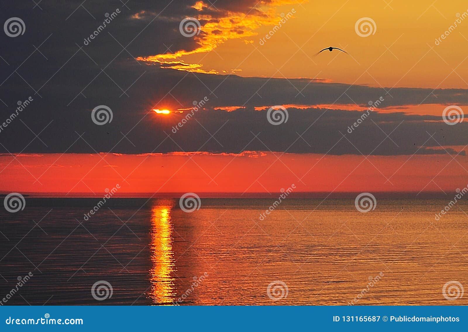 Horizon, Sky, Sunset, Sunrise Picture. Image: 131165687