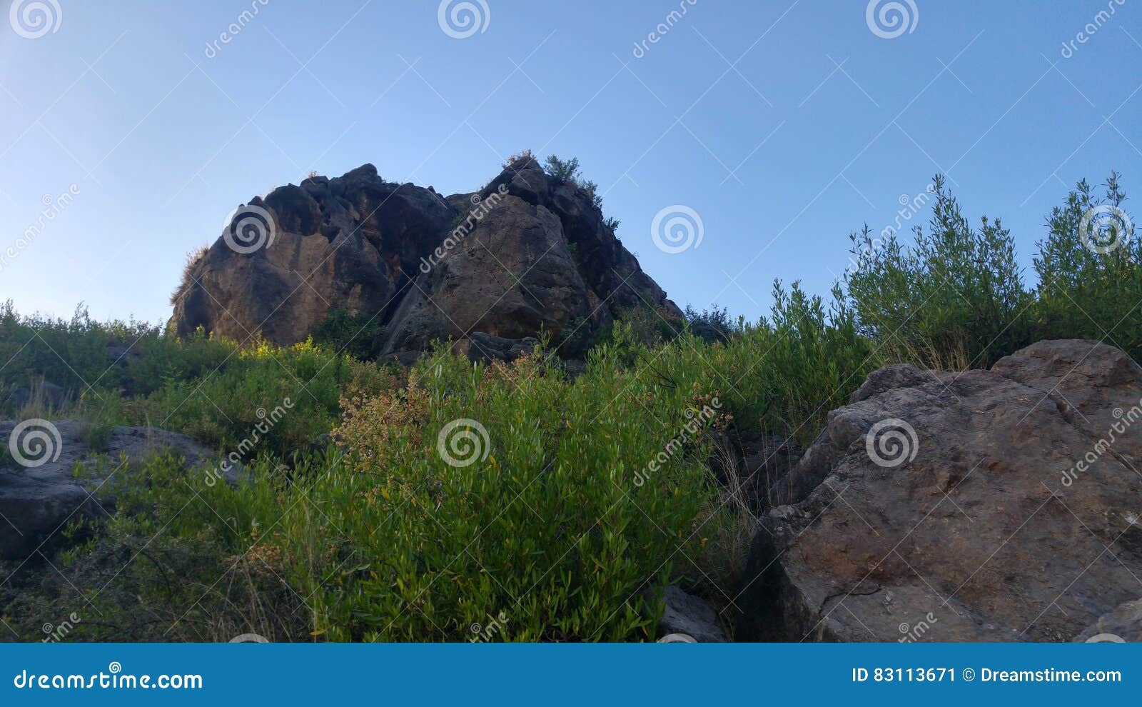 The Horizon stock image. Image of close, cute, beautiful - 83113671