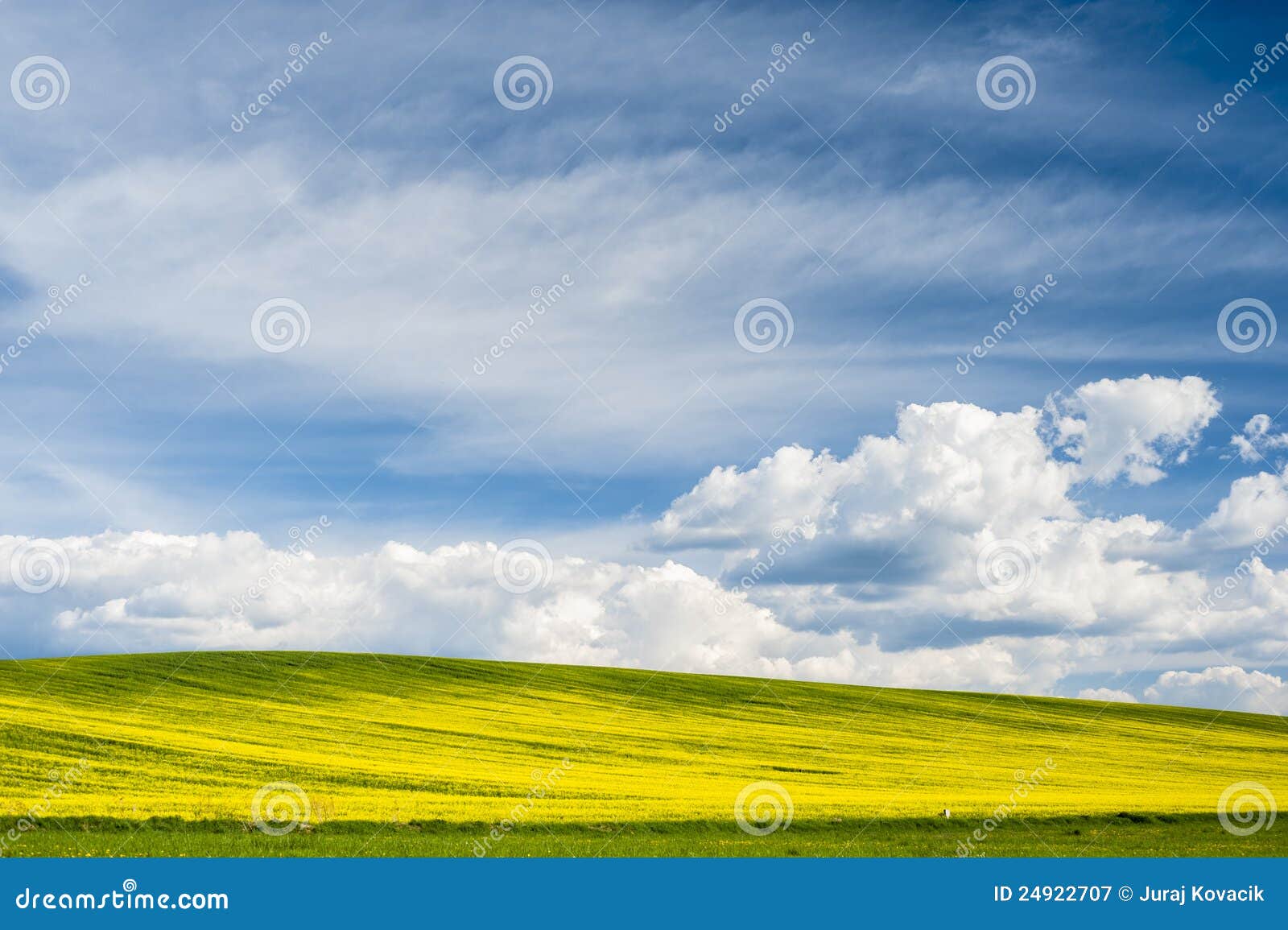 Horizon with yellow field stock image. Image of simple - 24922707